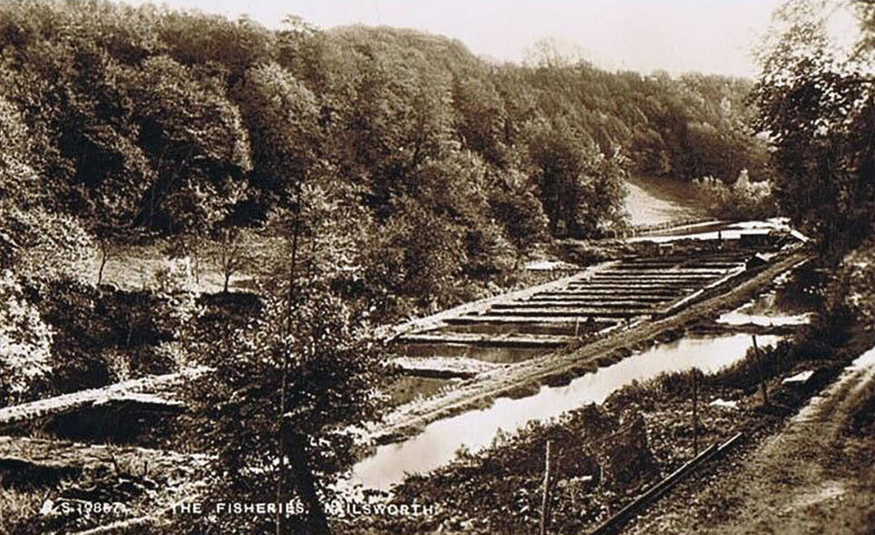Horsley Mill | Ruskin Mill Land Trust
